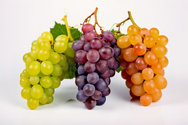 Different Types of Grapes Isolated on White Background Stock ...