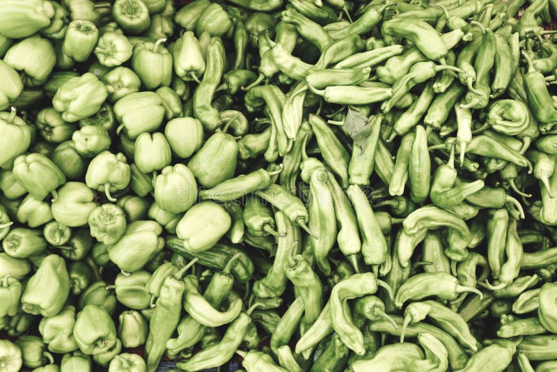 Different Types of Green Peppers on a Stand Stock Photo - Image of ...