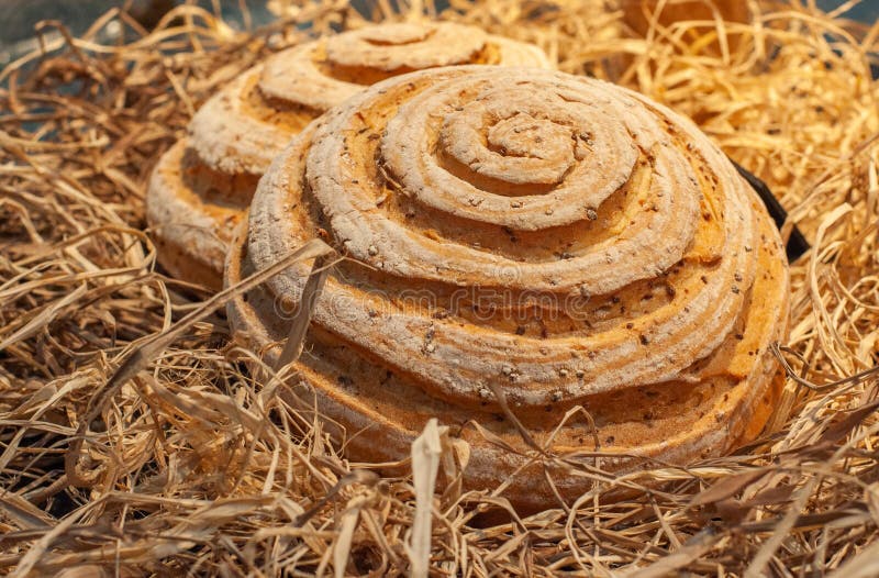 Different Types of Handmade Bread. Stock Image - Image of hamburger ...
