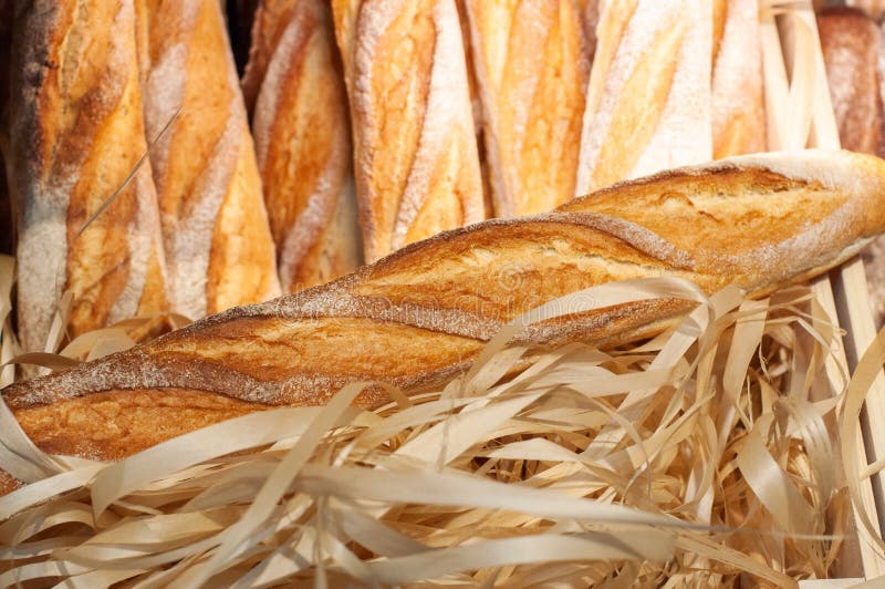 Different Types of Handmade Bread. Different Forms of Bread Stock Photo ...