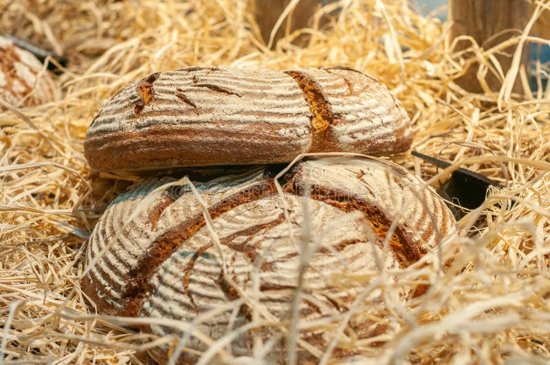 Different Types of Handmade Bread. Different Forms of Bread Stock Image ...