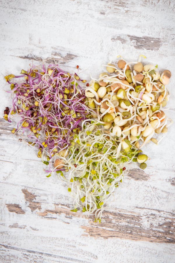 Different Types of Healthy Sprouts in Shape of Heart Containing ...