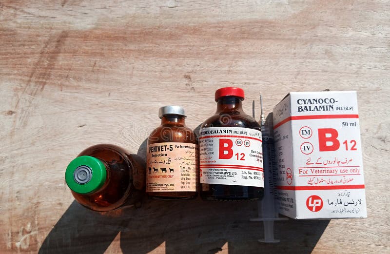 Different Types of Injections for Animals. Editorial Image - Image of ...