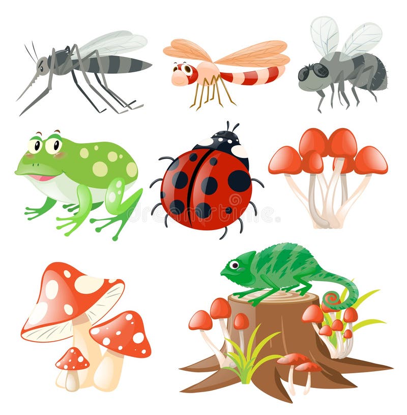 Different types of insects stock illustration. Illustration of lizard ...