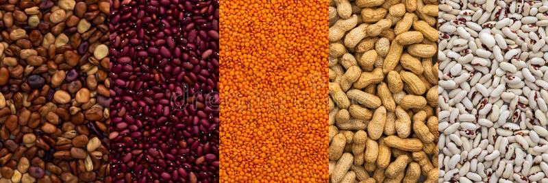 Different types of legumes stock photo. Image of pulses - 255942026