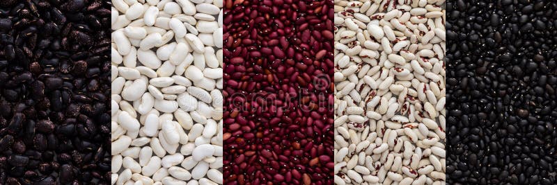 Different types of legumes stock image. Image of organic - 254683891