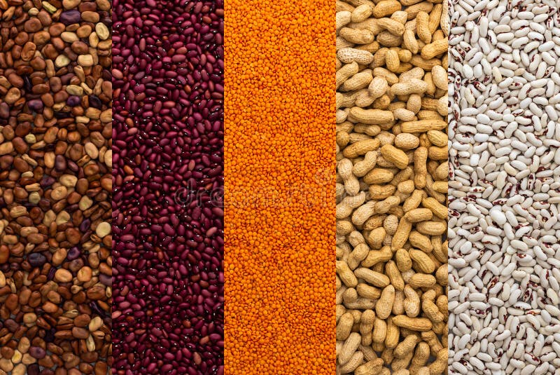 Different types of legumes stock photo. Image of bowl - 253350150