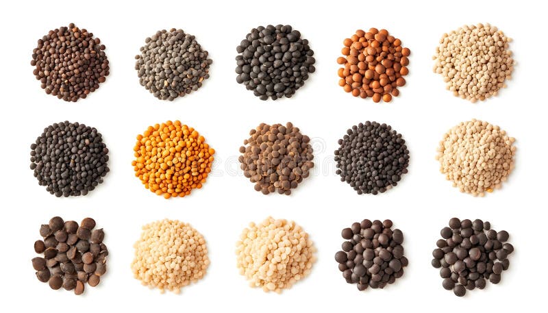 Different Types of Lentils Isolated on White Stock Photo - Image of ...