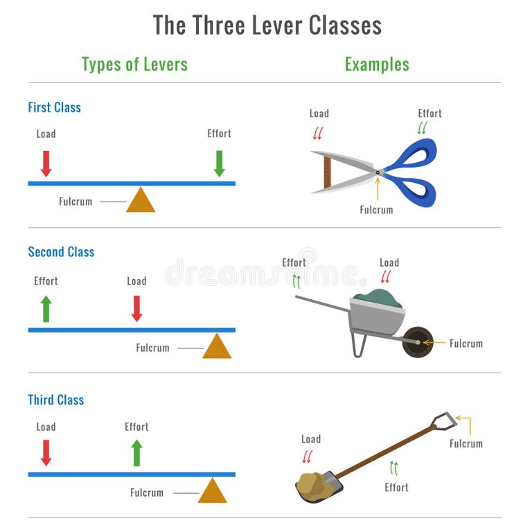 Lever Types Stock Illustrations – 63 Lever Types Stock Illustrations ...