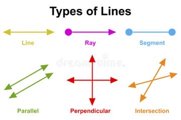 Different Types of Lines in Mathematics Stock Illustration ...