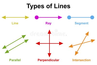 Different Types of Lines in Mathematics Stock Illustration ...