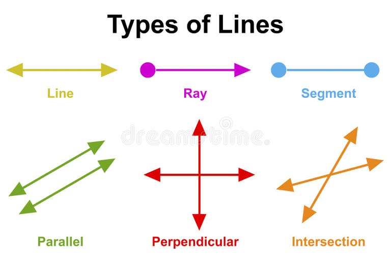 Different Types of Lines in Mathematics Stock Illustration ...