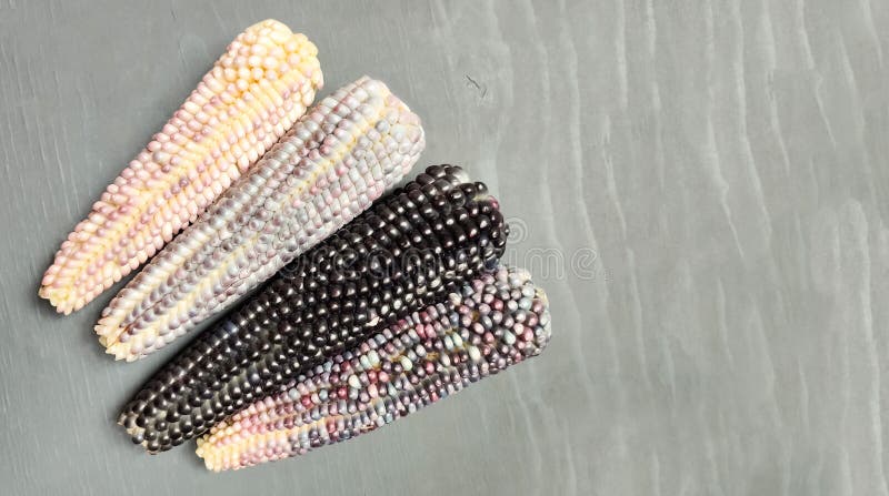 Organic Blue Corn, Pinto and Different Variantes Stock Image - Image of ...