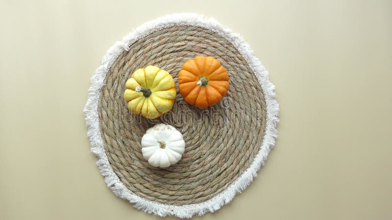 Different Types of Mini Pumpkins Color Background Stock Footage - Video ...