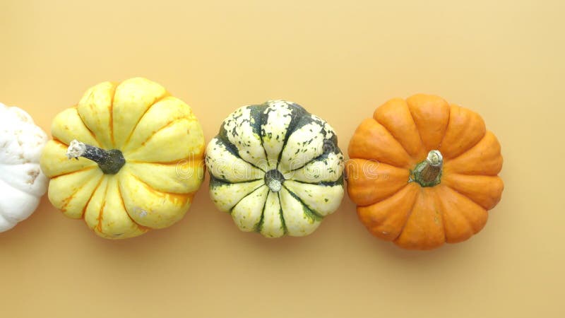 Different Types of Mini Pumpkins Color Background Stock Footage - Video ...