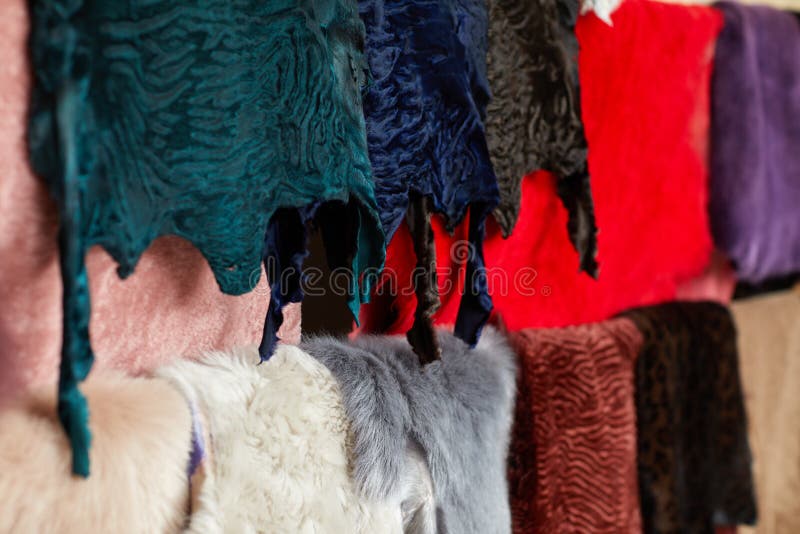 Multi-colored fur skins. stock image. Image of shop - 186942995