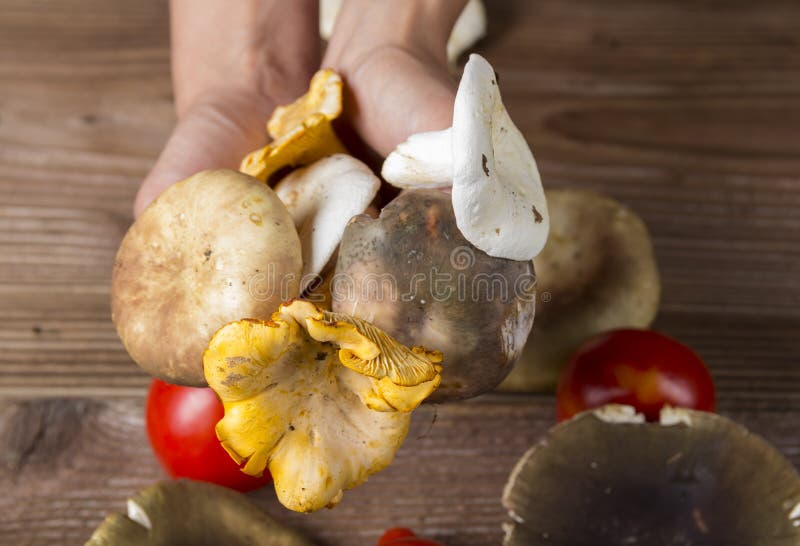 Different Types of Mushrooms with Vegetables Stock Image - Image of ...