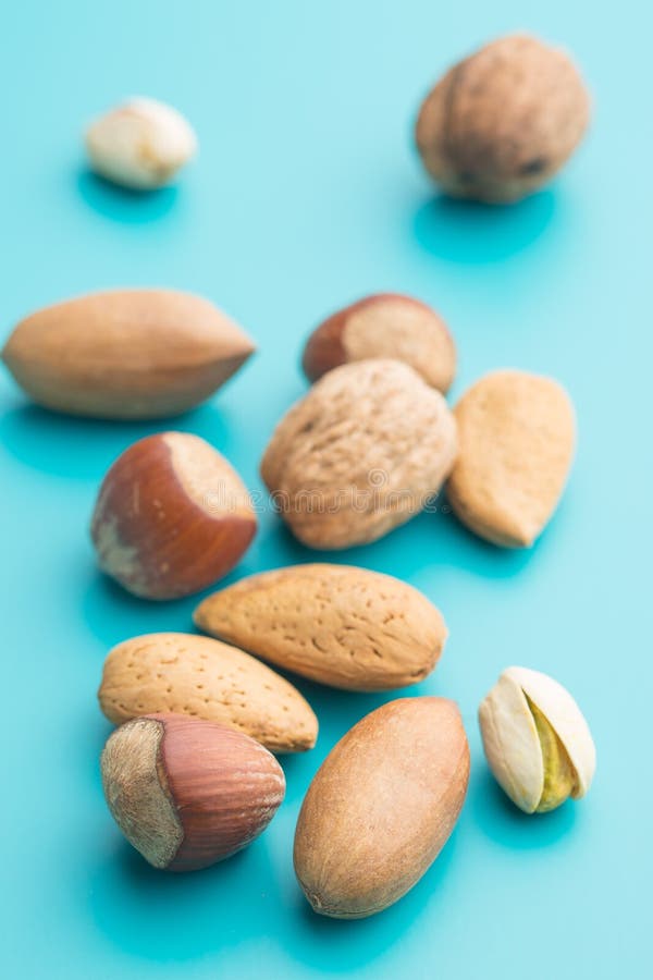 Different Types of Nuts in the Nutshell. Stock Photo - Image of fruit ...
