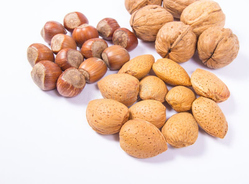 Different Types of Nuts in a Shell on a White Background. Stock Image ...