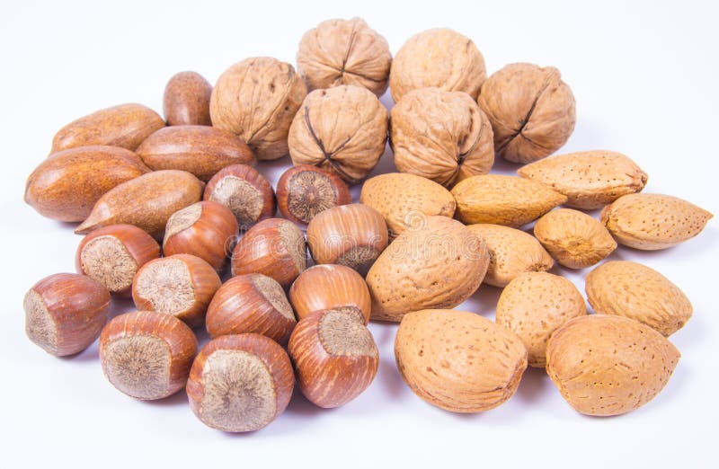 Different Types of Nuts in a Shell on a White Background. Stock Image ...