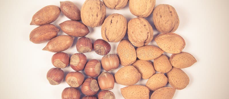 Different Types of Nuts in a Shell on a White Background. Stock Image ...