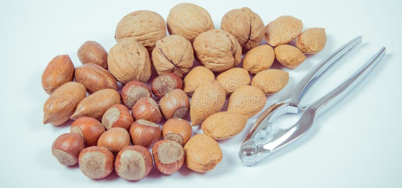 Different Types of Nuts in a Shell on a White Background. Stock Image ...