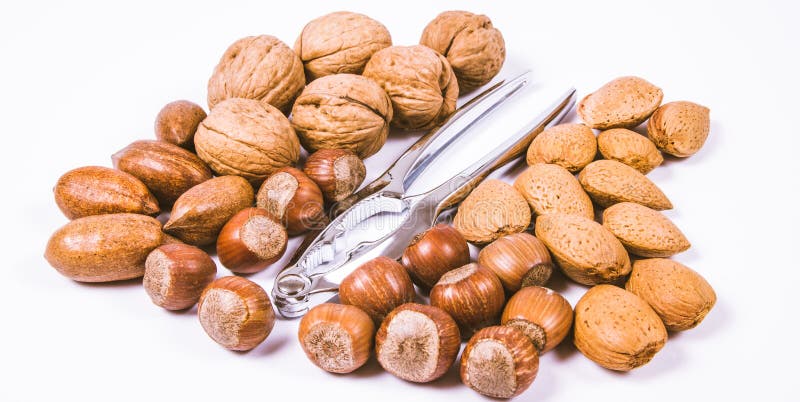 Different Types of Nuts in a Shell on a White Background. Stock Image ...