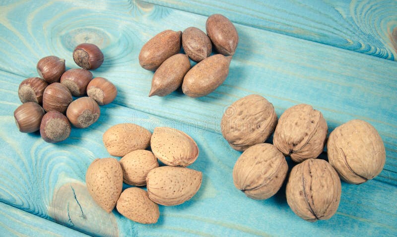 Different Types of Nuts in a Shell on a White Background. Stock Image ...