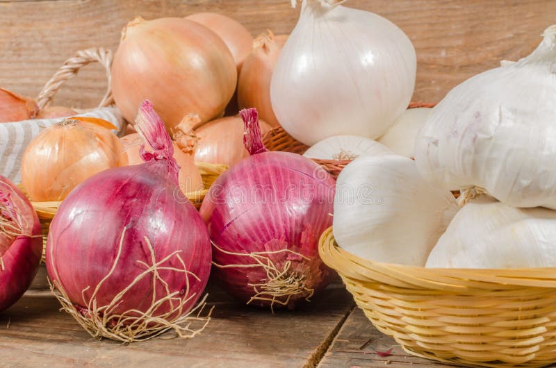 Different Types of Onions, Garlic and Shallots Stock Photo - Image of ... Different Types of Onions, Garlic and Shallots Stock Photo - Image of ...