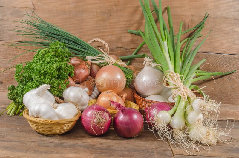 Different Types of Onions, Garlic and Shallots Stock Image - Image of ... Different Types of Onions, Garlic and Shallots Stock Image - Image of ...