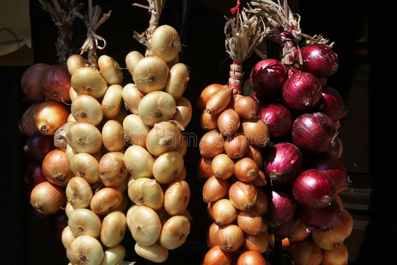 Different Types of Onions, Central Italy Stock Image - Image of ...
