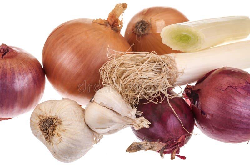 Different types of onions stock image. Image of appetizing - 35282747