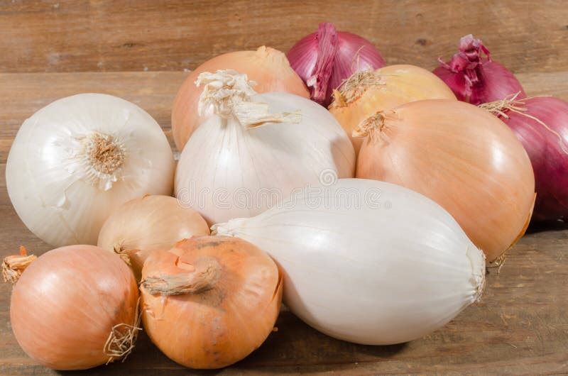 Different types of onions stock image. Image of healthy - 56887787