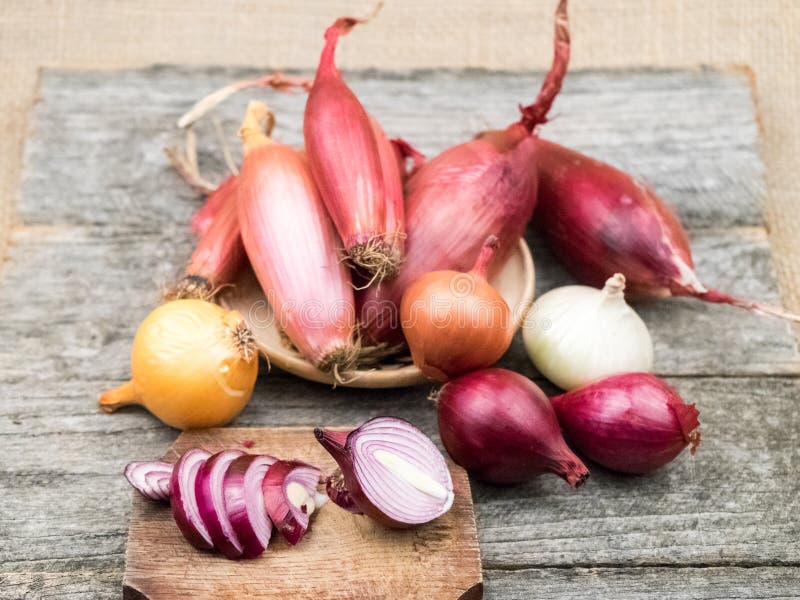 Different types of onions stock photo. Image of detail - 83624366