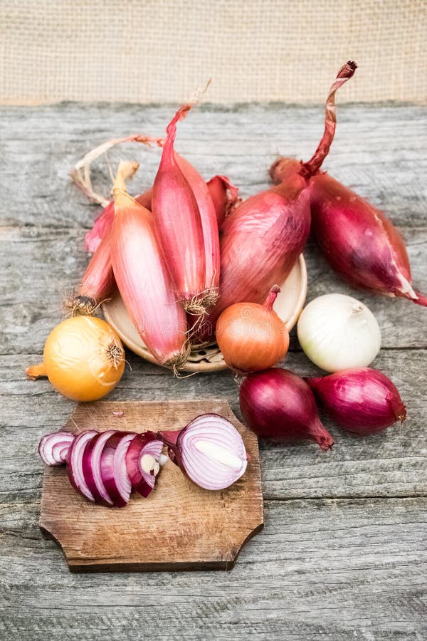 Different types of onions stock photo. Image of gourmet - 83624534