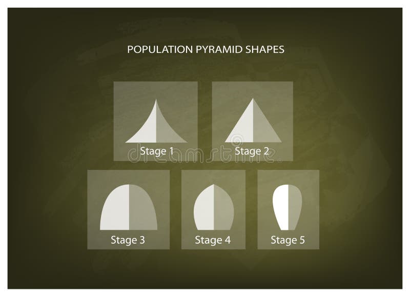 Different Types of Population Pyramids on Chalkboard Background Stock ...