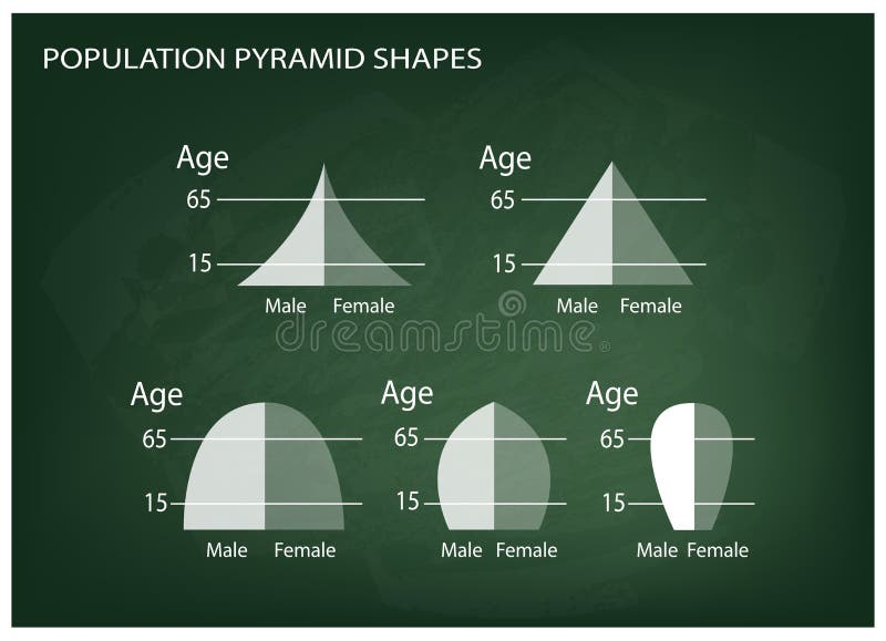 Different Types Of Population Pyramids On Old Paper Background Stock Vector Illustration Of