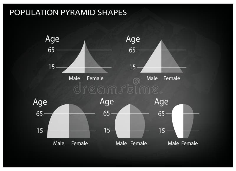 Different Types of Population Pyramids on Chalkboard Background Stock ...