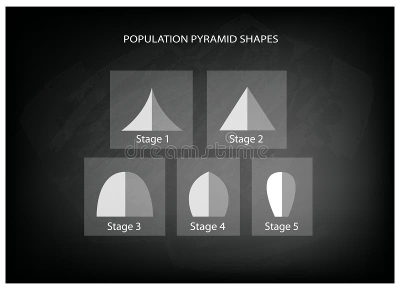 Different Types of Population Pyramids on Chalkboard Background Stock ...