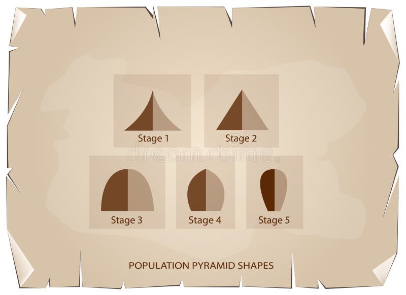 Different Types of Population Pyramids on Old Paper Background Stock ...