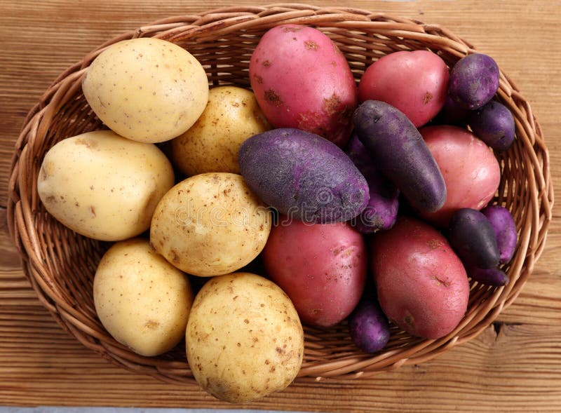 Different Types of Potatoes. Stock Image - Image of purple, wicker ...