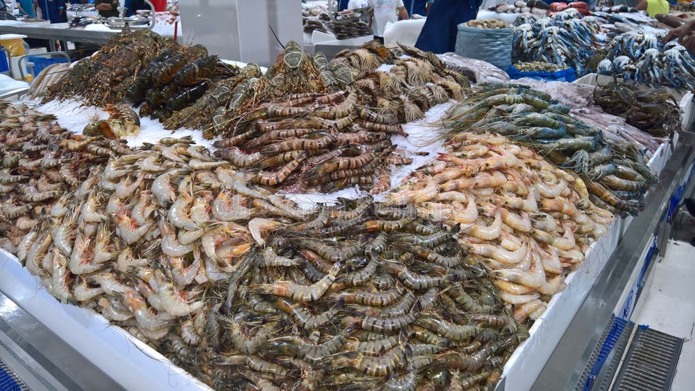 Different Types of Prawns Display Stock Photo - Image of size, market ...