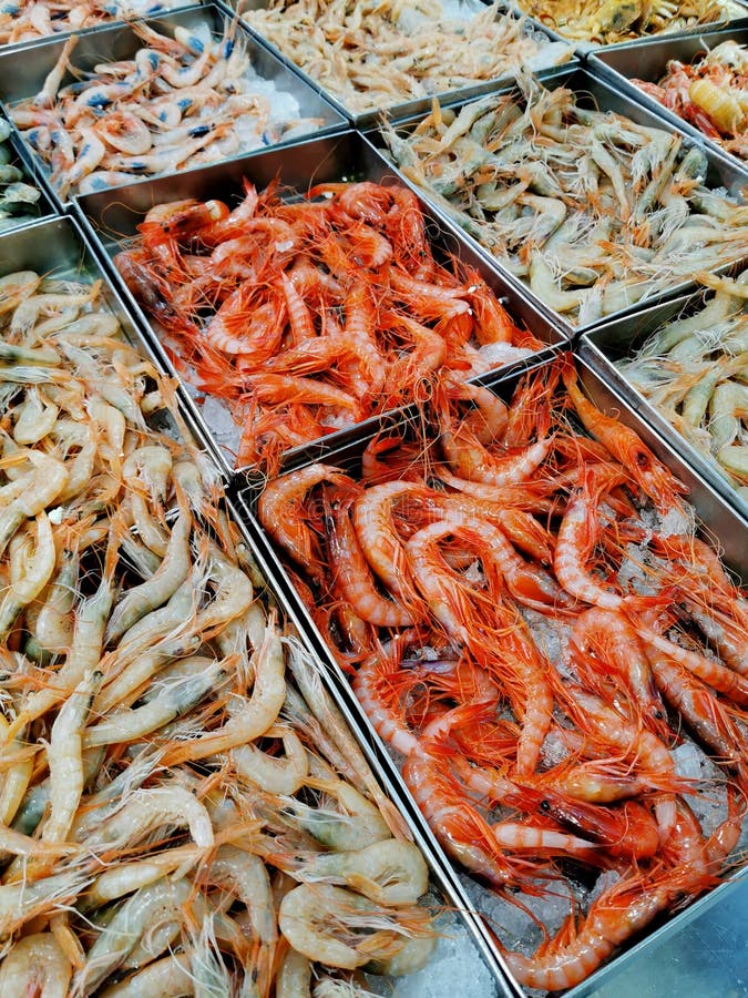 Different Types of Prawns, Shrimp at Market Stock Image - Image of rose ...