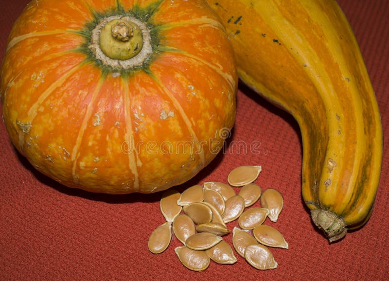 Different Types of Pumpkin with Seeds Stock Image - Image of ripe ...