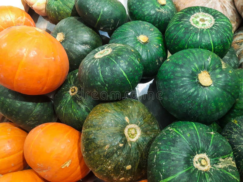 Different types of pumpkin stock photo. Image of fresh - 258898714