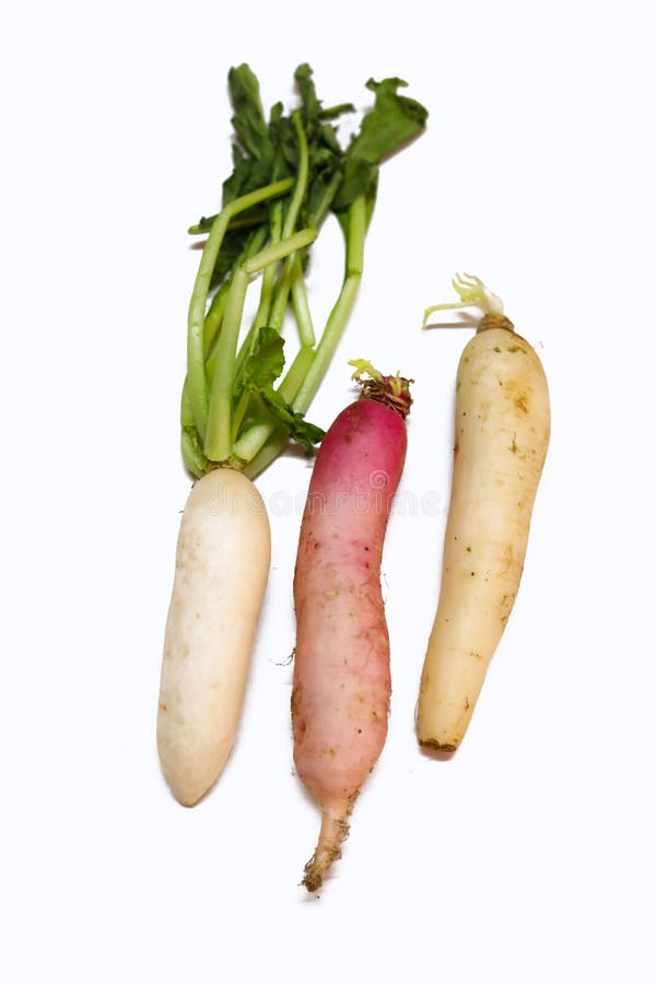 Different Types of Radish are Isolated on a White Background, Top View ...