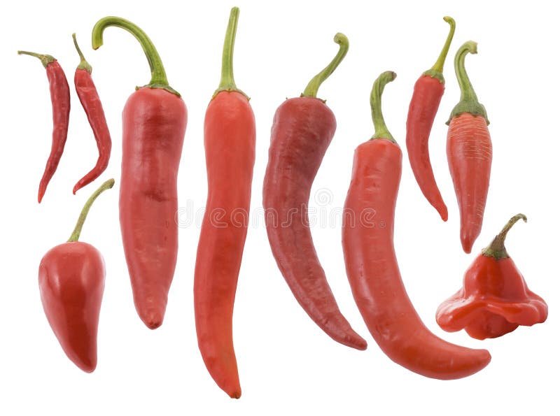 Different Types Of Red Red Hot Chili Pepper Picture. Image: 6503590