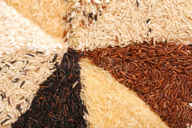 Different Types of Rice, Top View Stock Photo - Image of kind ...
