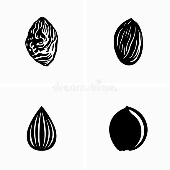 Different Types and Shapes of Fruit Pits Stock Vector - Illustration of ...