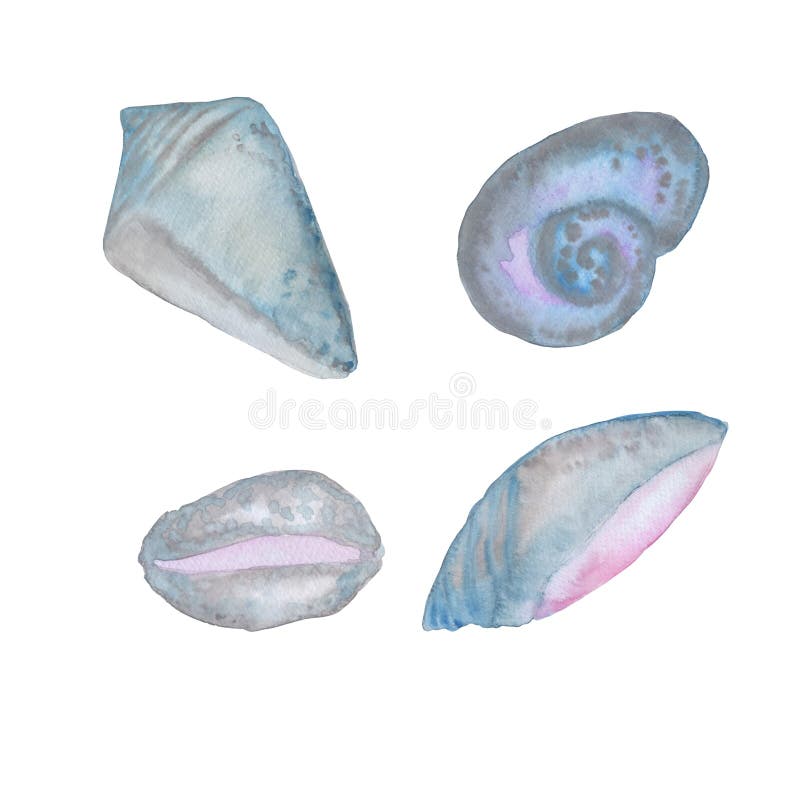 Different Types of Shells in Blue Violet Color Set Watercolor ...